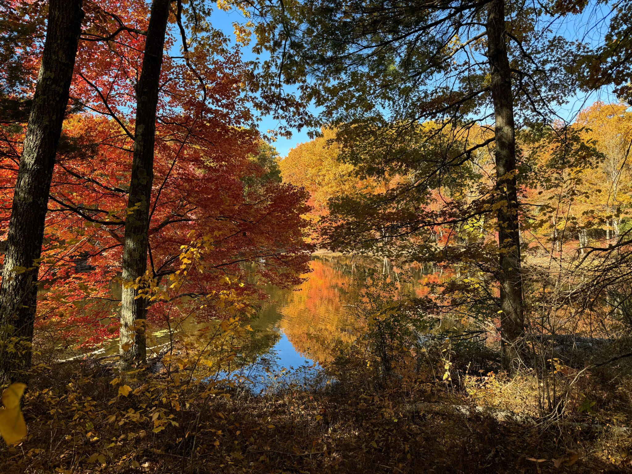 Duck Pond – Groton Trails Network
