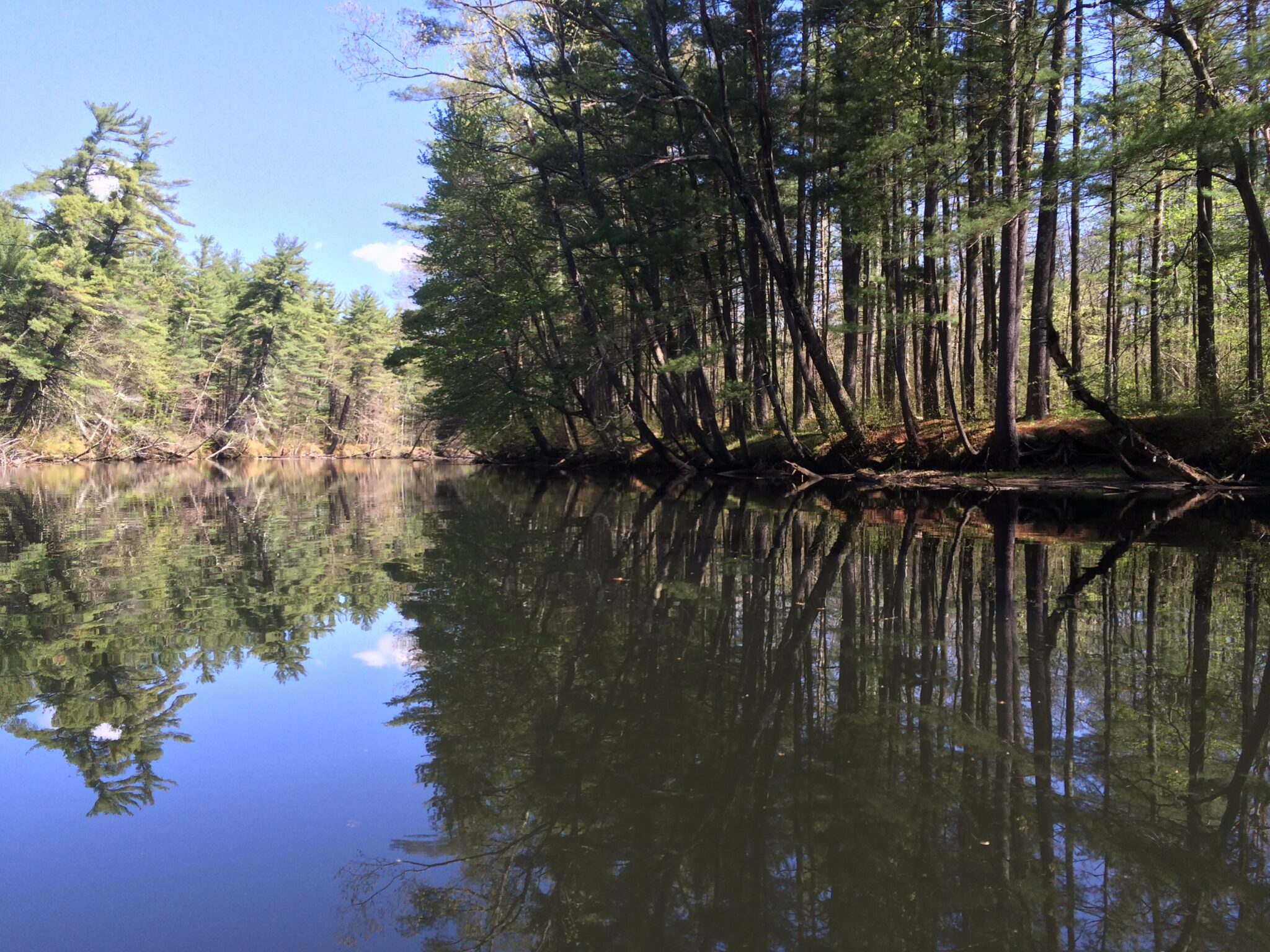 Town Forest – Groton Trails Network