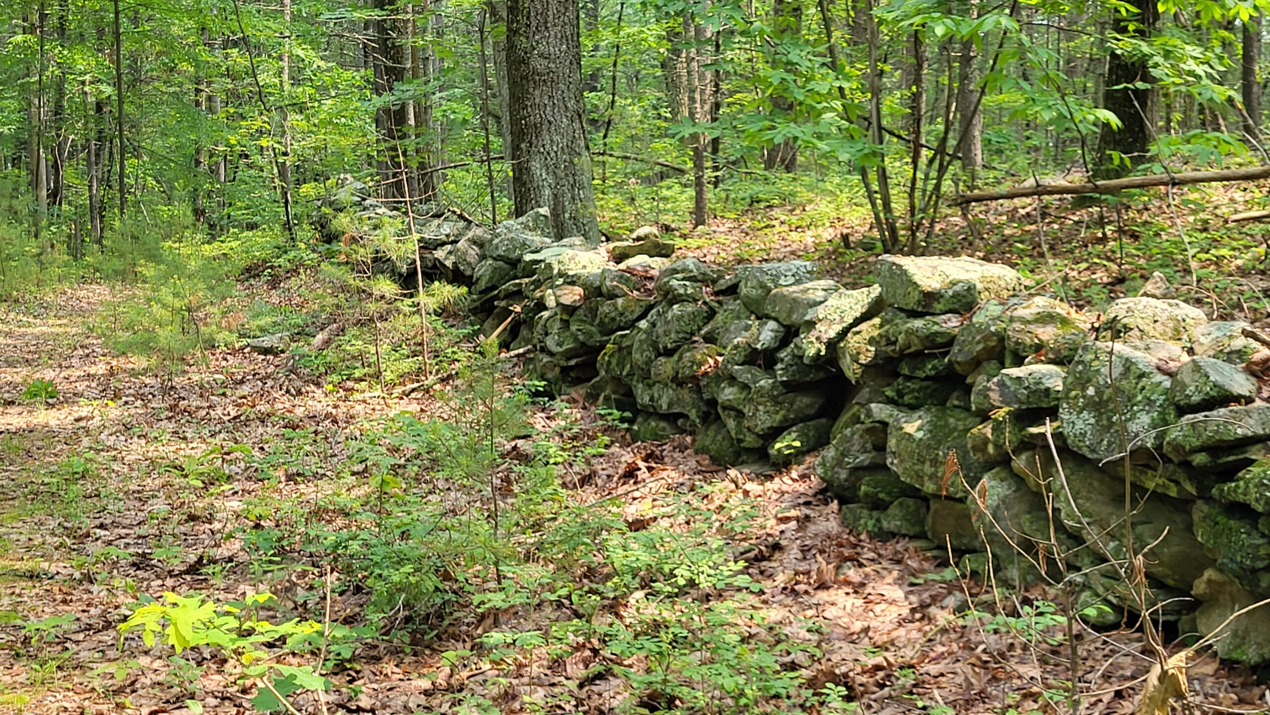 Whispering Brook – Groton Trails Network